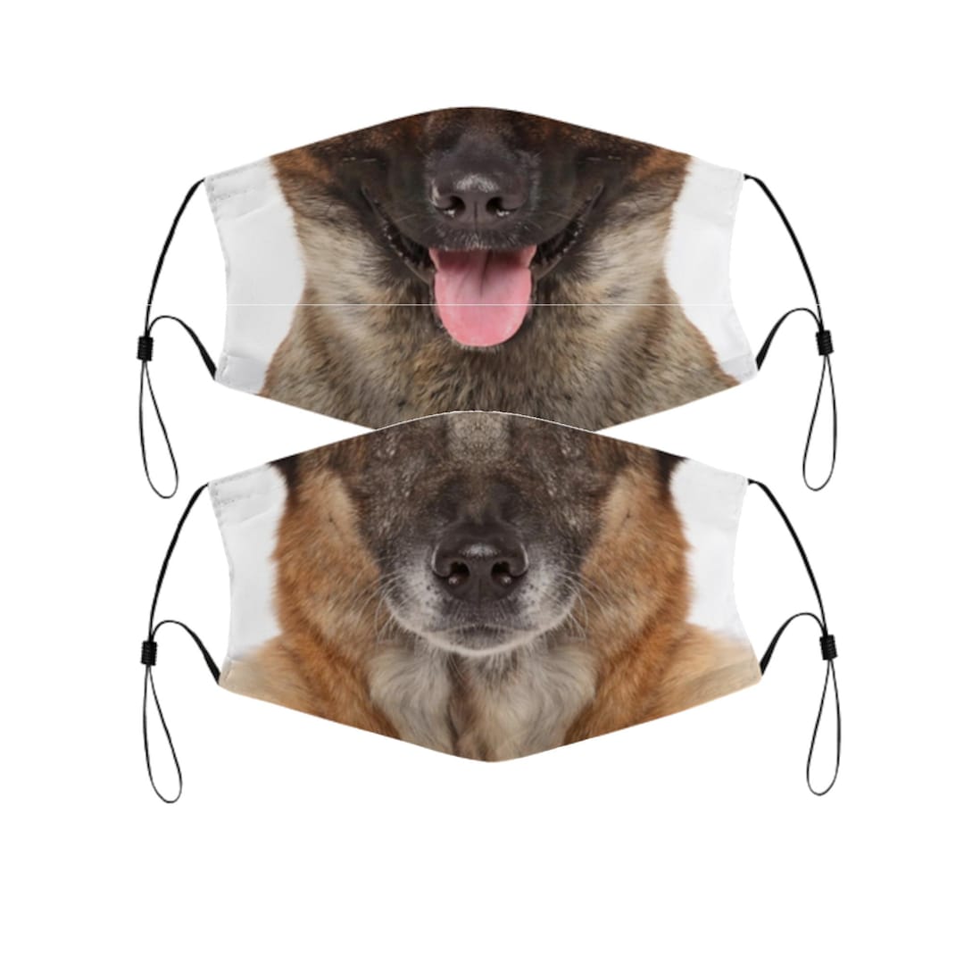Malinois Face Mask With Filter Pocket and Nose Wire, Washable ...
