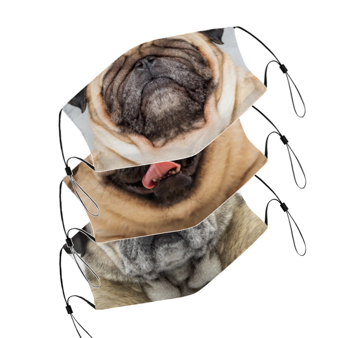 Funny Pug Dog Mouth Face Mask With Filter Pocket and Nose Wire for ...