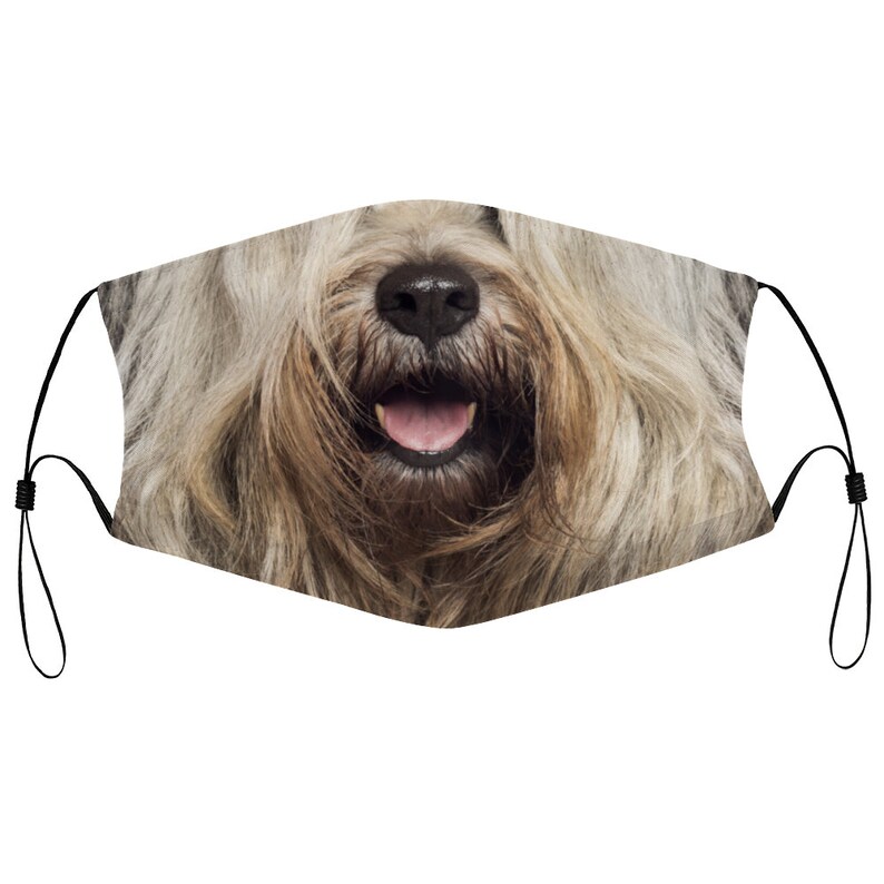 Skye Terrier Face Mask With Filter Pocket And Nose Wire | Etsy