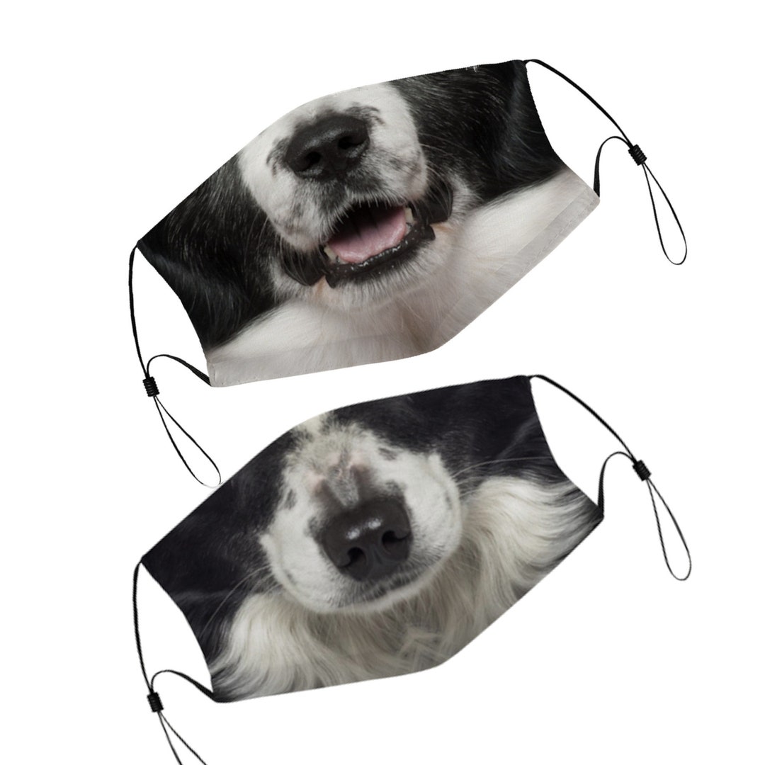 Border Collie Face Mask With Filter Pocket and Nose Wire - Etsy
