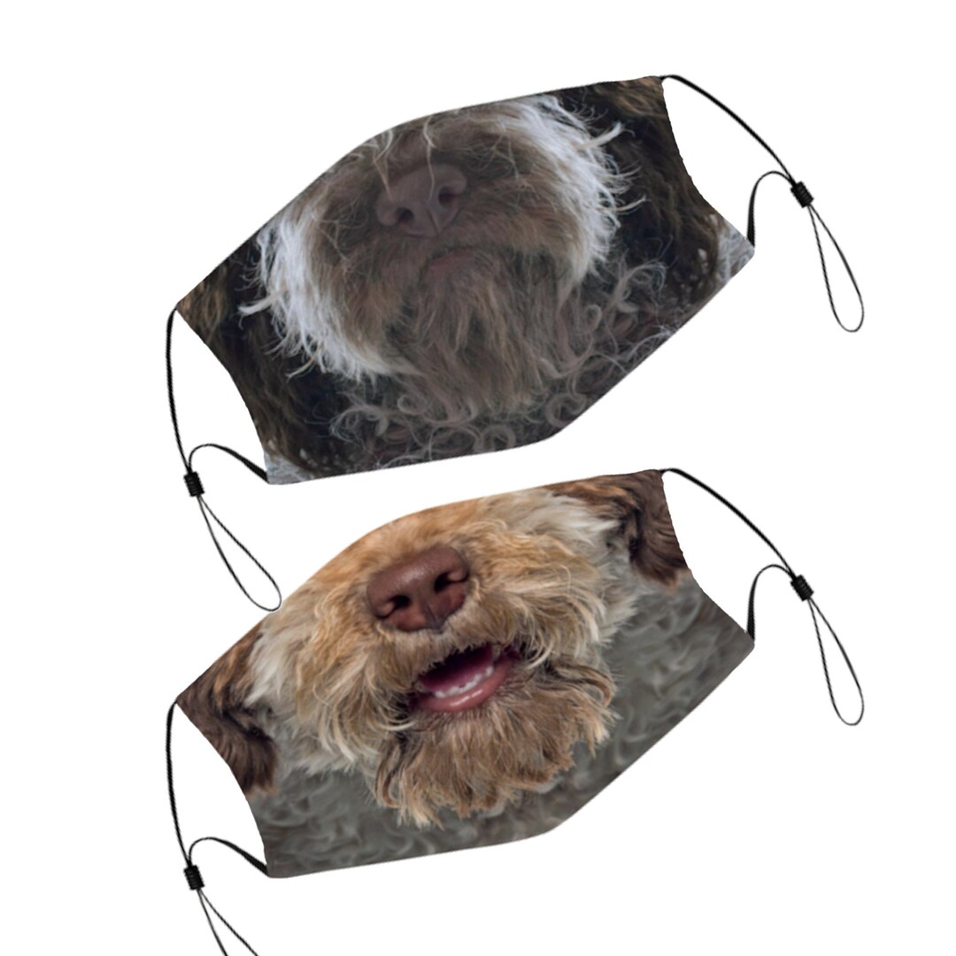 Lagotto Romagnolo Dog Face Mask With Filter Pocket and Nose Wire ...