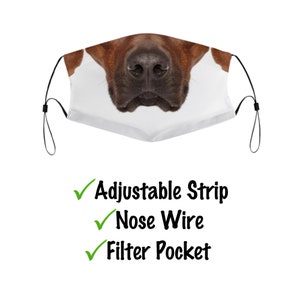 Rhodesian Ridgeback Face Mask, Washable, Filter Pocket, Nose Wire - Etsy