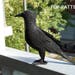 PDF Pattern to Make a Felt Crow. - Etsy