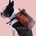 Pet Backpack Sewing Pattern for Dogs and Cats (PDF Pattern) - Etsy