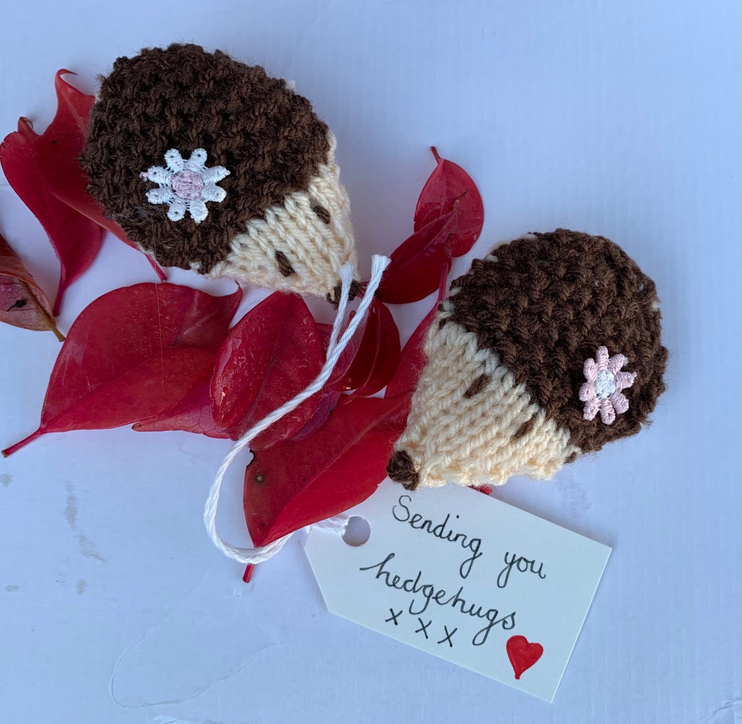 Pocket Hug, Hedge Hug, Hedgehog, Lockdown Gift, Isolation Love Tokens ...