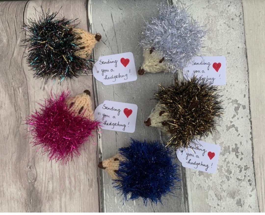 Knitted Hedgehog Pocket Hug, Friendship Gift, Personalized Tag - Etsy UK