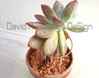 David Meddings DeSign