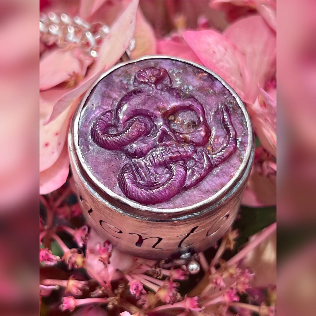 Memento Mori Lantern Locket. Skull, Snake, Bat, Pillbox, Purple ...