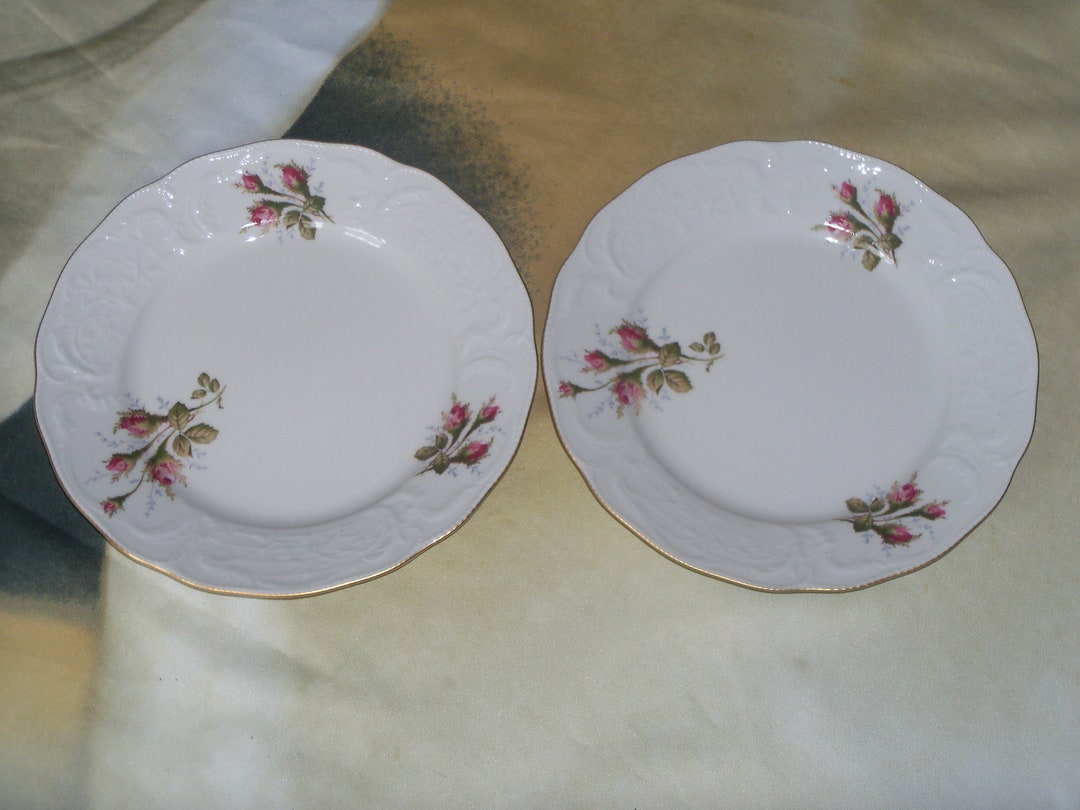 Set of 2 Rosenthal Classic Rose Floral 9 3/4 Inch Dinner Plates Raised ...
