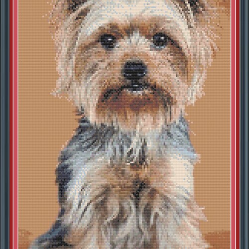 Yorkshire Terrier Yorkie Counted Cross Stitch Pattern PDF Down - Etsy