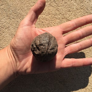 Shaman Stone, 55mm Large Raw Iron Oxide Shaman Stone Sphere, Moqui ...