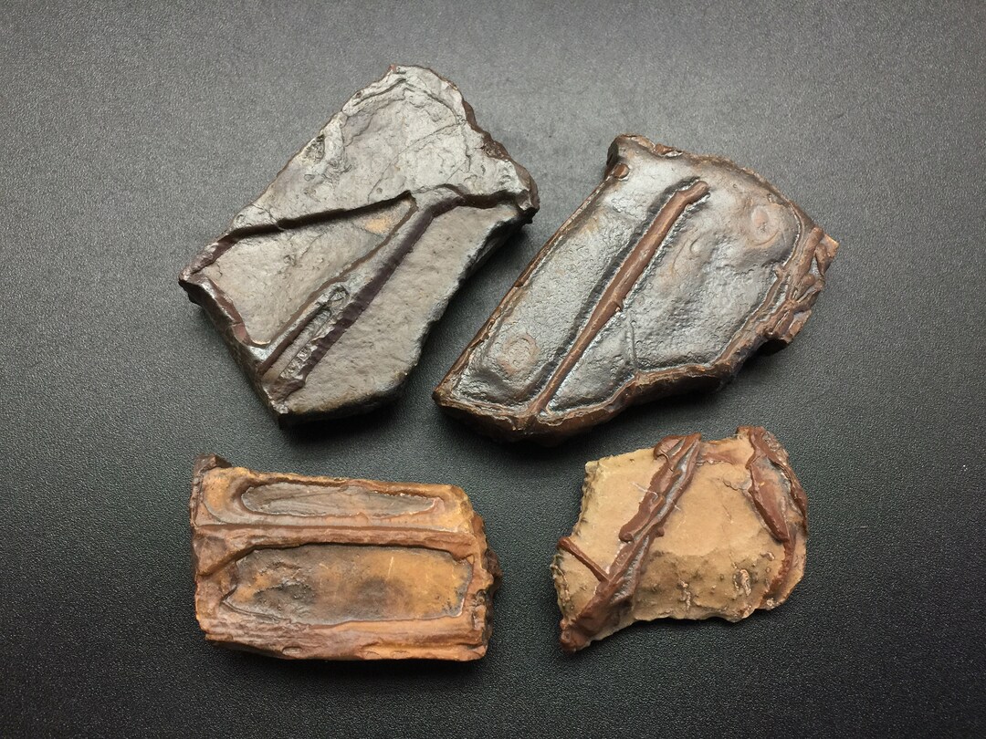 4 Sahara Desert Script Rocks, Raw Natural Tsesite Desert Varnish Stones ...