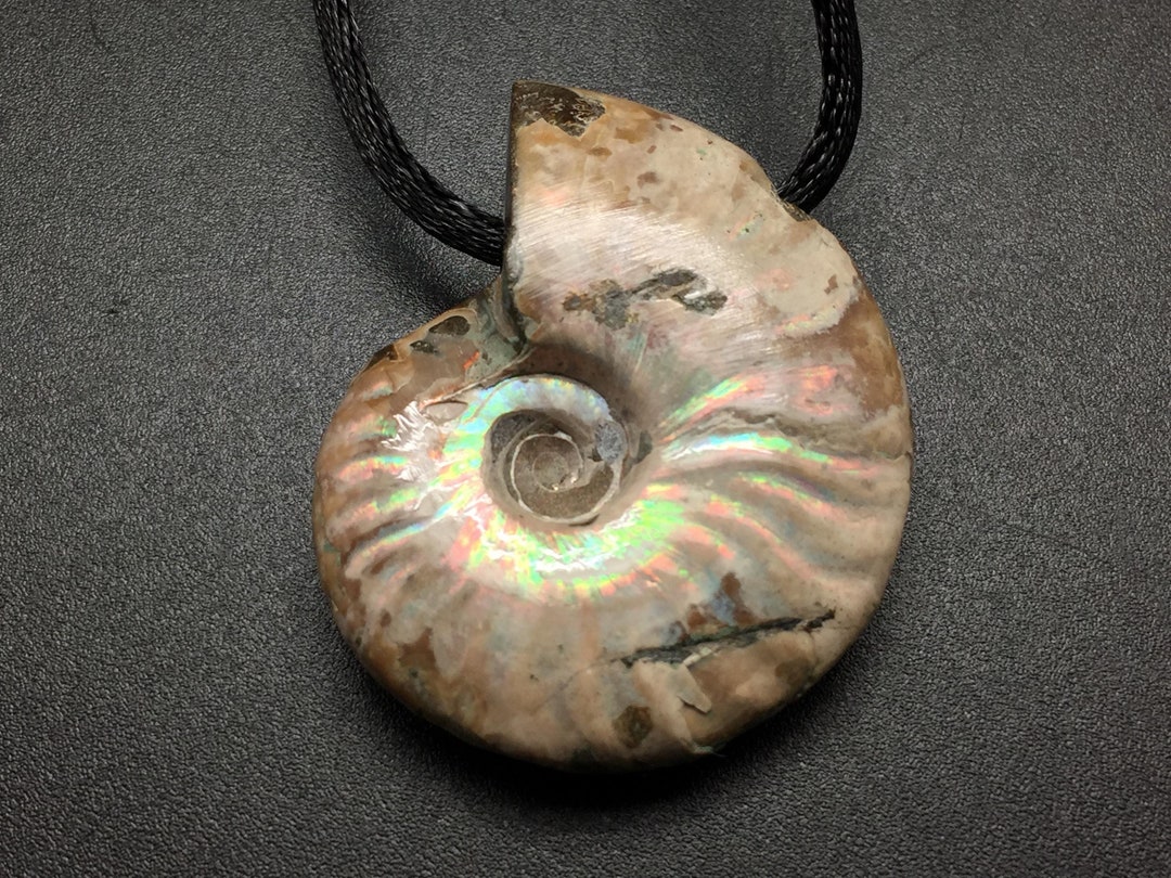 Opalized Ammonite Fossil Pendant, 48mm Natural Rainbow Fire Opal ...