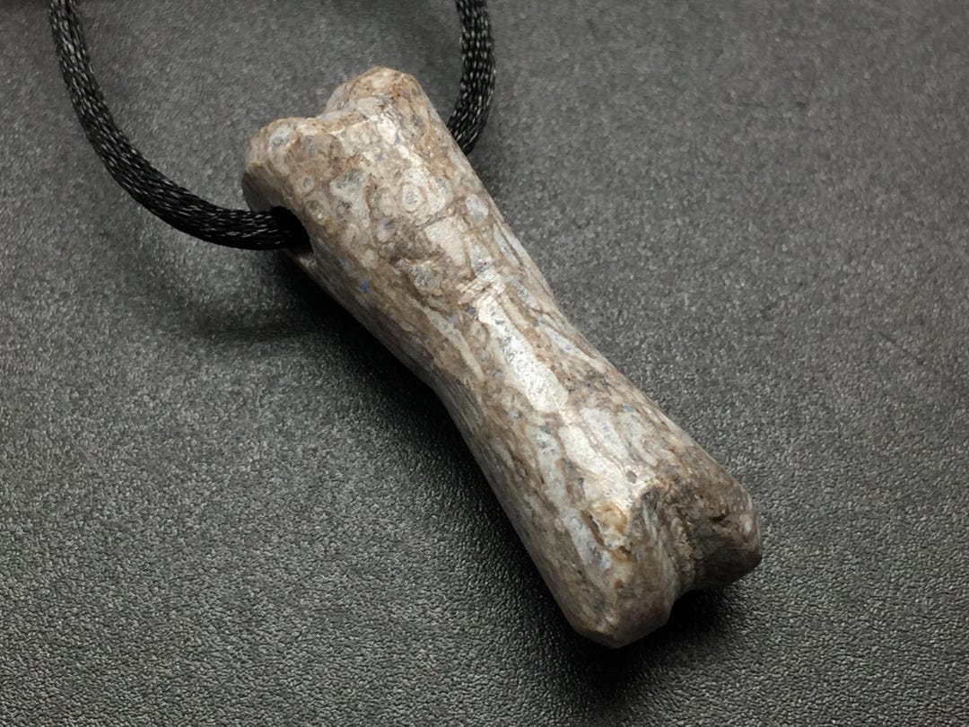 Atlasaurus Dinosaur Bone Pendant 40mm, Fossilized Dinosaur Bone From ...