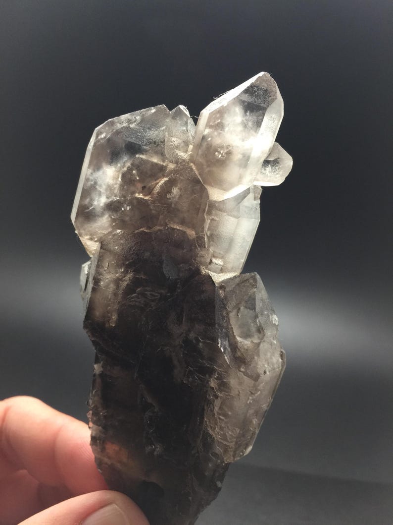 X-large Smoky Jacare Quartz Crystal Pendant 4.5 Inch Raw Elestial Tabby ...