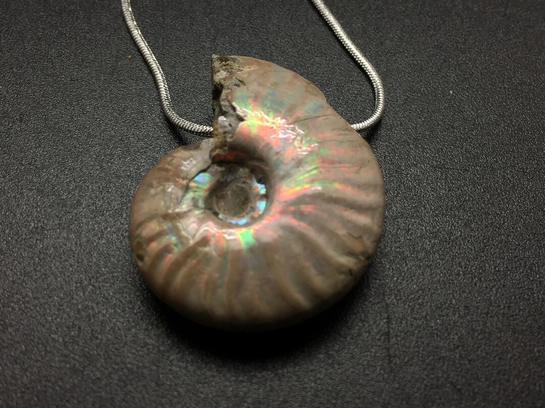 Opalized Ammonite Fossil Pendant, 37mm Natural Rainbow Fire Opal ...