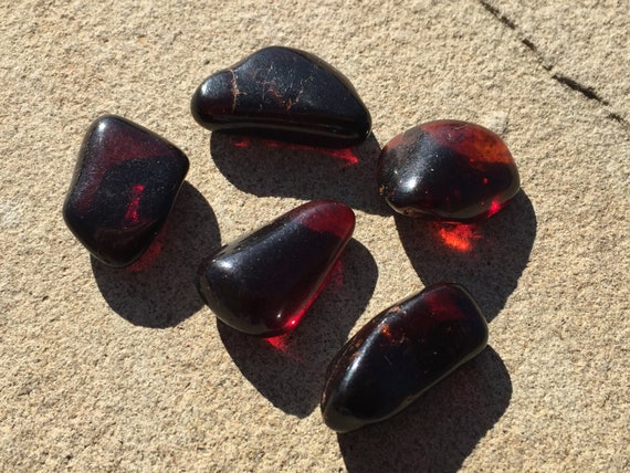 5 Red Amber Stones High Grade Amber Nuggets from Chiapas | Etsy