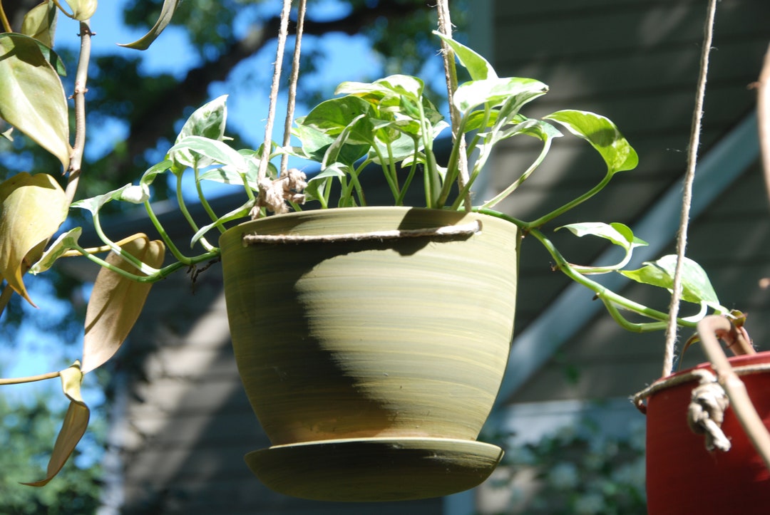 Hanging Pottery Planter With Built in Catch Basin, Hanging Ceramic ...