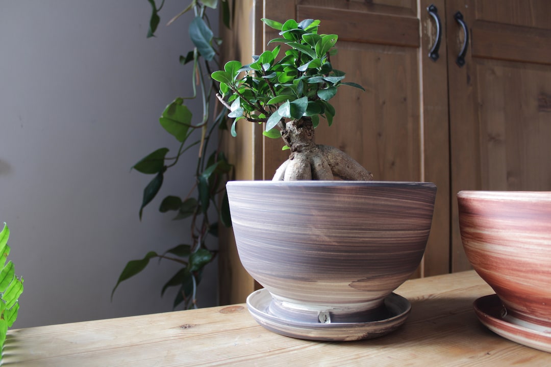 Handmade Ceramic Planter With Catch Basin - Unglazed Pottery - Made in ...