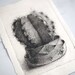 Cactus. Etching - Etsy