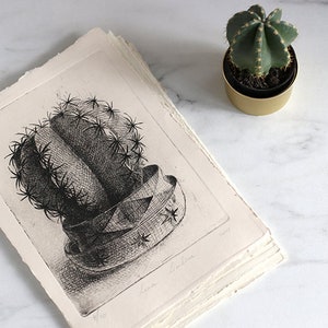 Cactus. Etching - Etsy