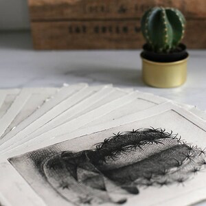 Cactus. Etching - Etsy