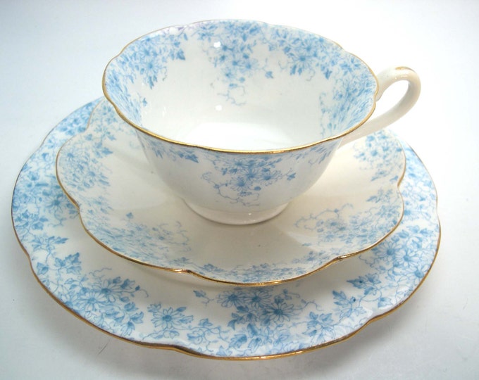 Antique Foley Wileman Trio Pre Shelley Tea Cup and Saucer - Etsy