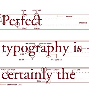 Anatomy of a Letterform Typeface Poster Type Poster - Etsy