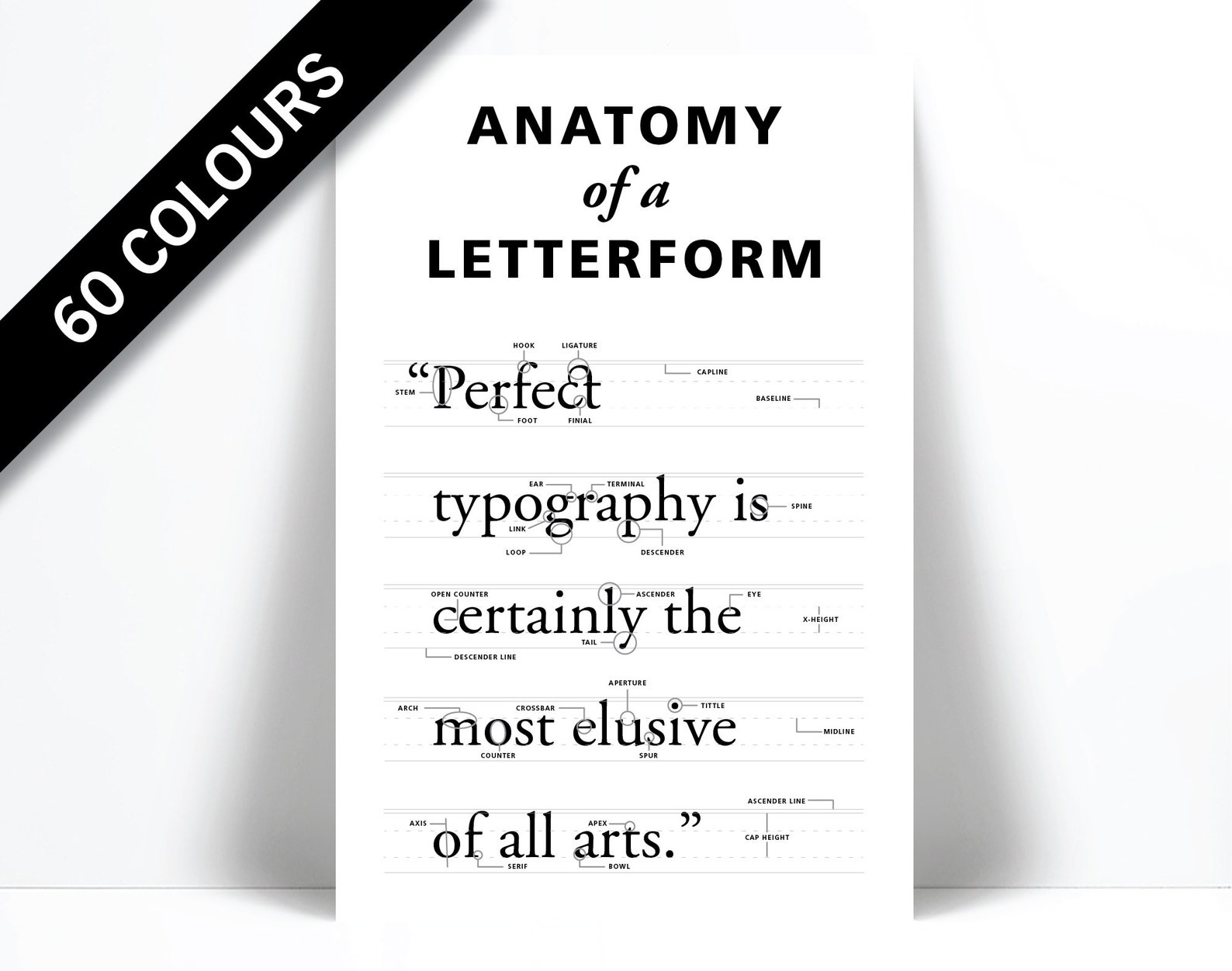 Anatomy of a Letterform Typeface Poster Type Poster - Etsy