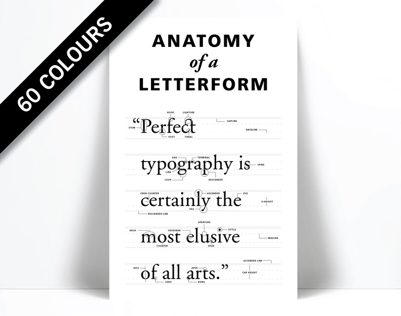 Anatomy of a Letterform Typeface Poster Type Poster - Etsy