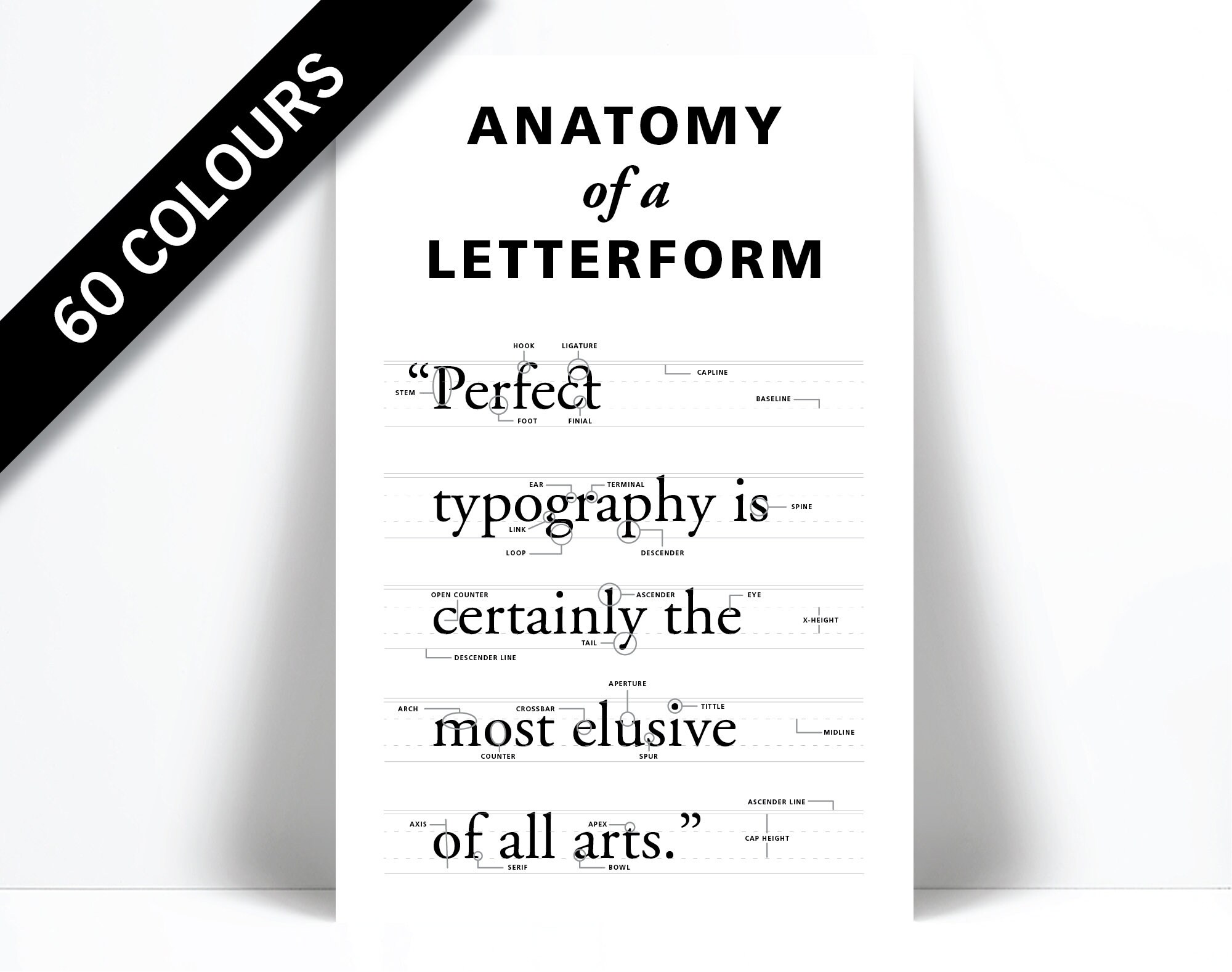 Anatomy of a Letterform Typeface Poster Type Poster | Etsy