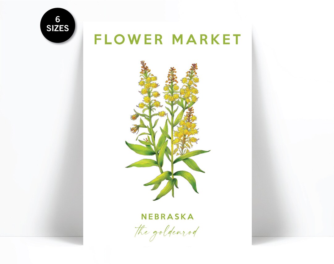 Flower Market Art Print Nebraska State Flower Wall Art Goldenrod Poster ...