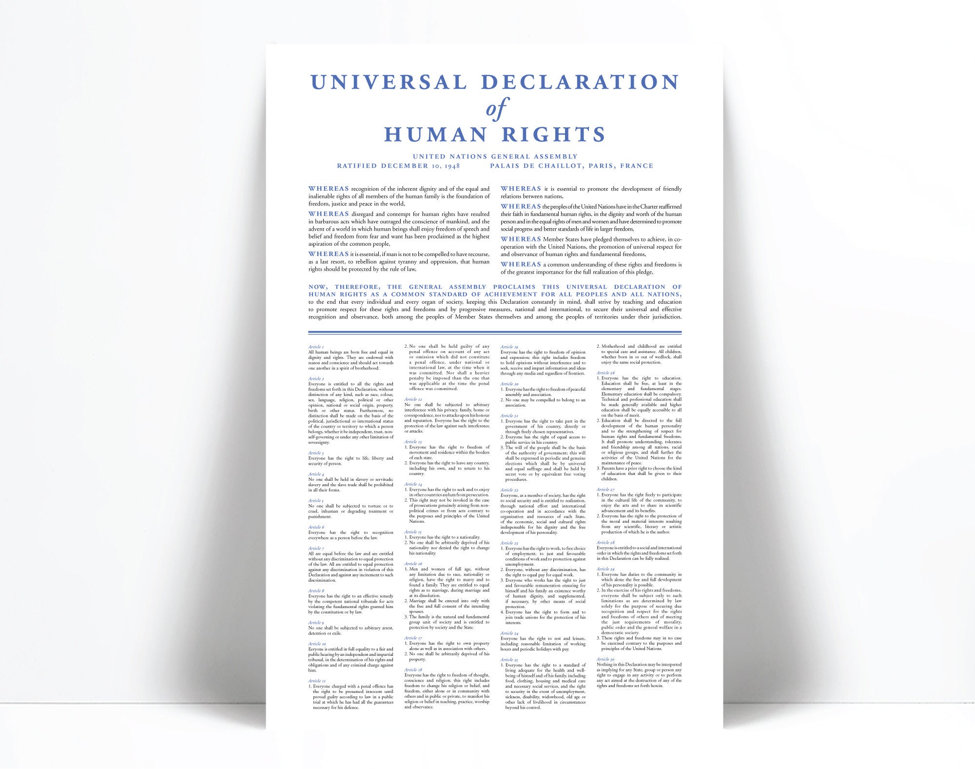 Universal Declaration Of Human Rights Poster