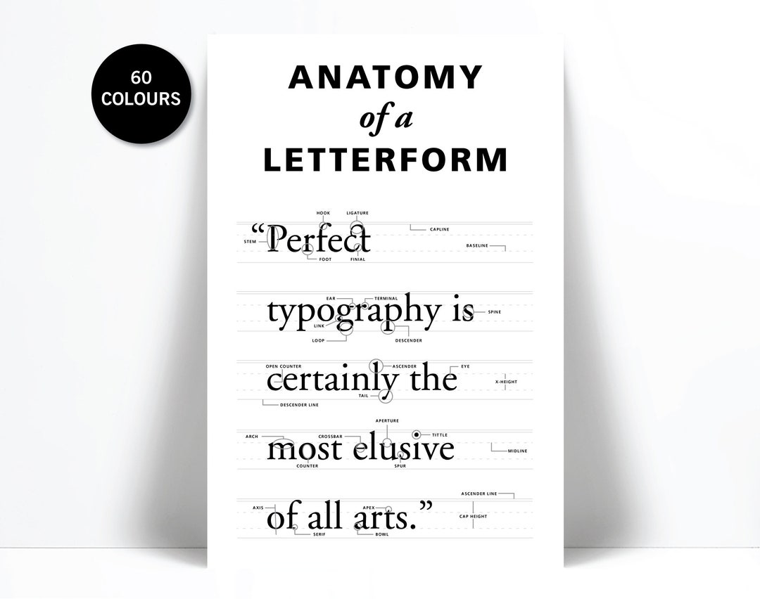 Anatomy of a Letterform - Typeface Poster - Type Poster - Graphic ...