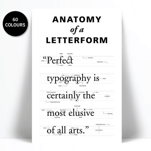 Anatomy of a Letterform Typeface Poster Type Poster - Etsy