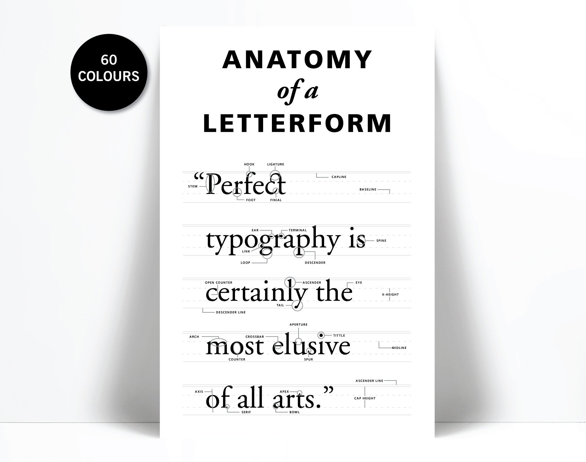 Anatomy of a Letterform Typeface Poster Type Poster - Etsy Australia