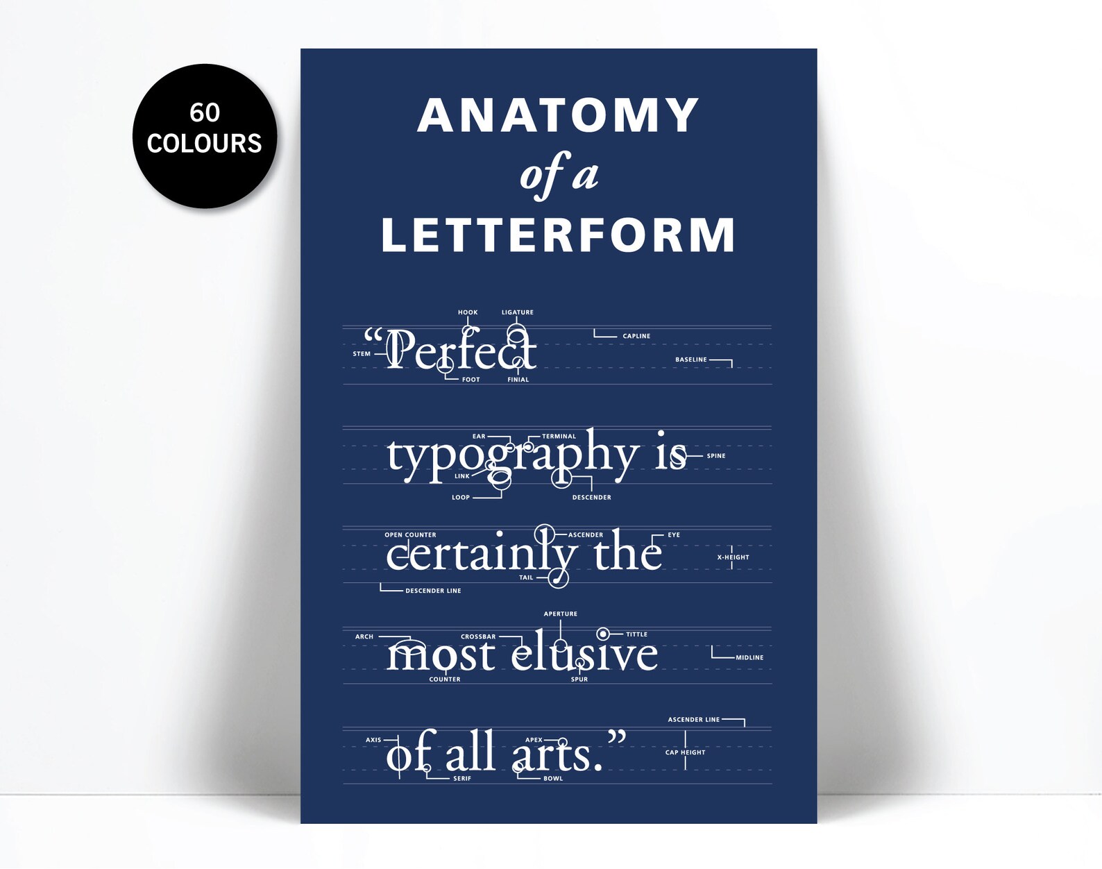 Anatomy of a Letterform Typeface Poster Type Poster - Etsy