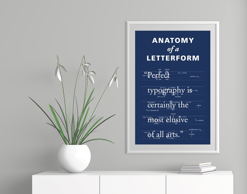 Anatomy of a Letterform - Typeface Poster - Type Poster - Graphic ...