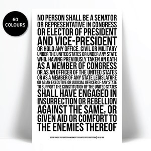 Fourteenth Amendment US Constitution Art Print Sedition Insurrection ...