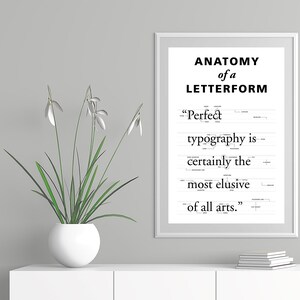 Anatomy of a Letterform - Typeface Poster - Type Poster - Graphic ...