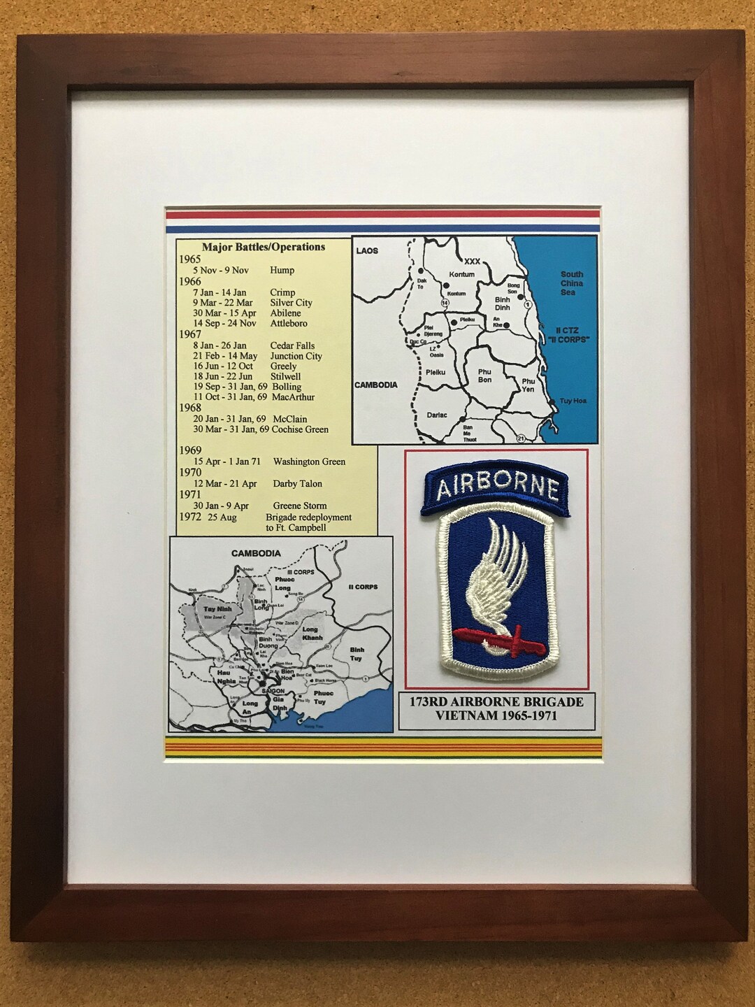 173rd Airborne Brigade Vietnam Unit Patch and History 11"x14" With ...