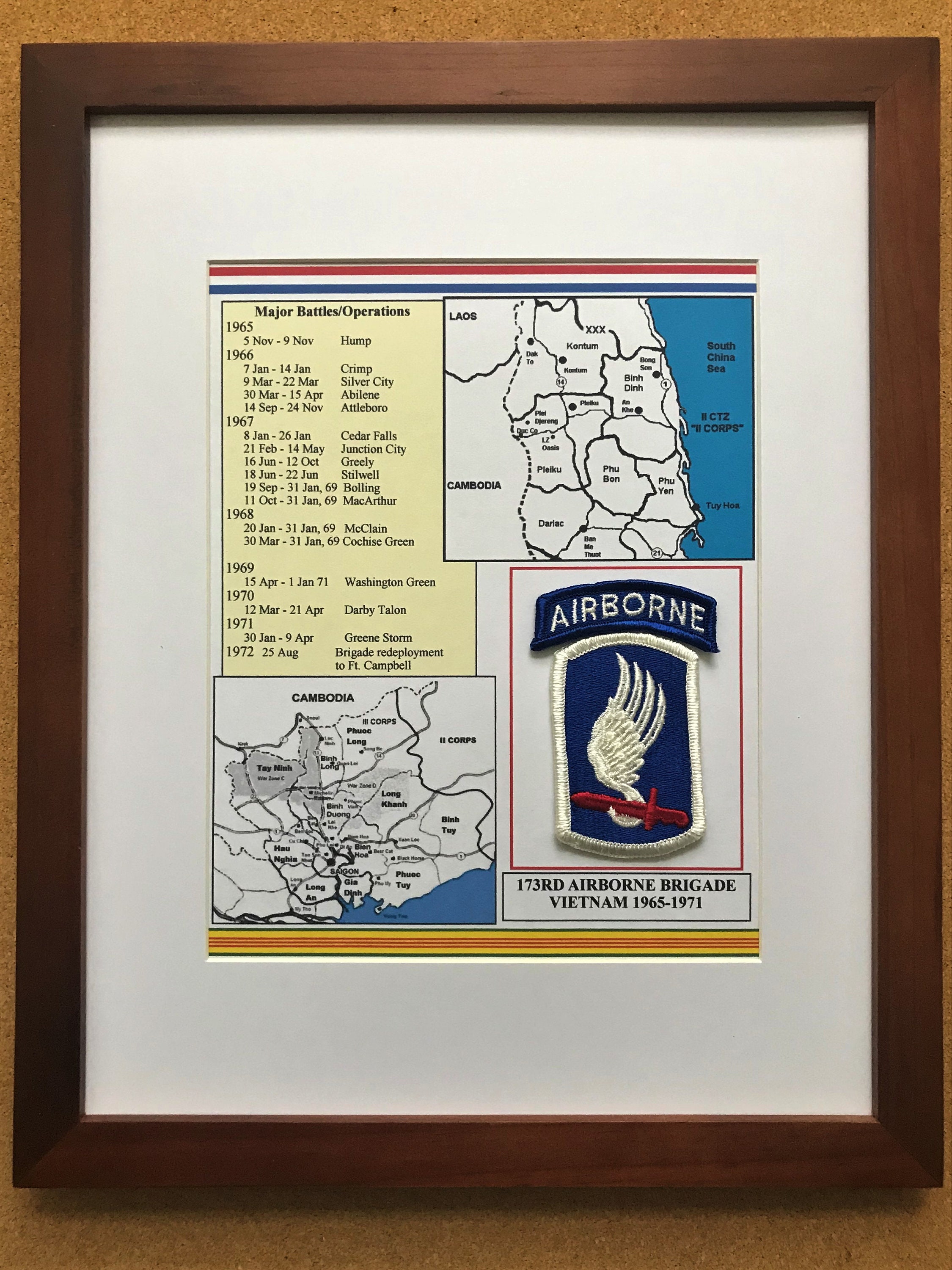 173rd Airborne Brigade Vietnam Unit Patch and History 11"x14" With ...