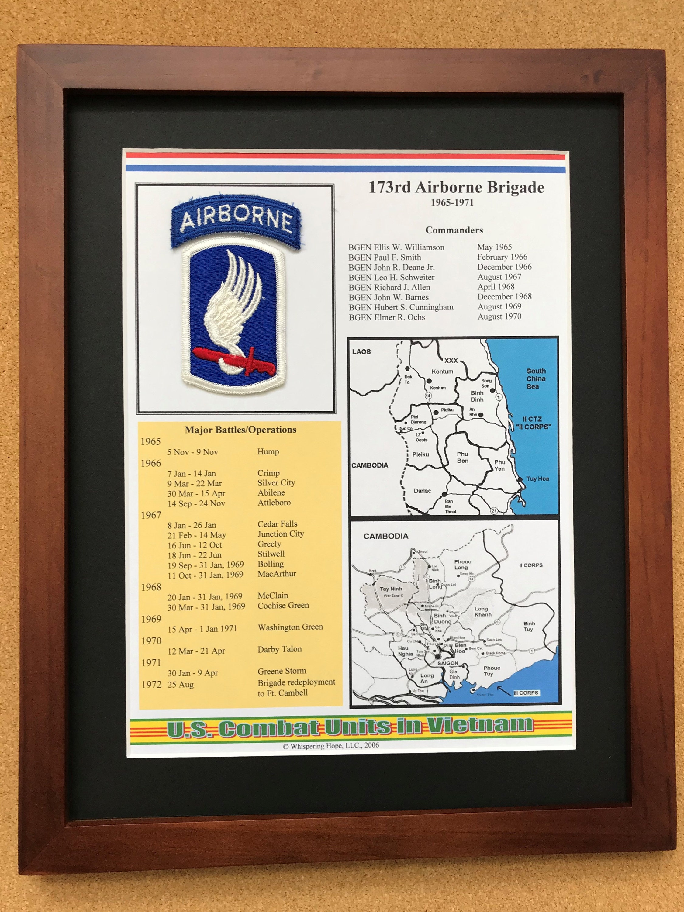 173rd Airborne Brigade in Vietnam Unit Patch and History 11" X 14" With ...