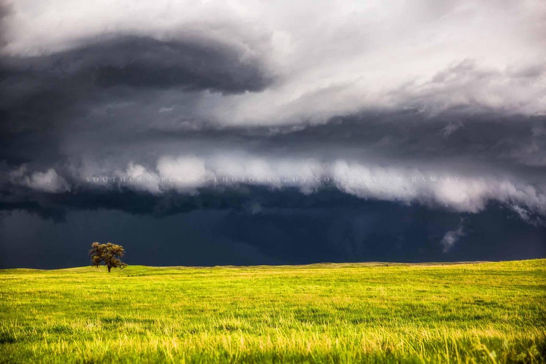 Storm Photography Print: Nebraska Prairie Landscape Tree Thunderstorm ...