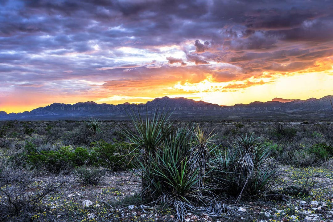 Big Bend Photography Print: West Texas Sunrise Mountain Landscape ...
