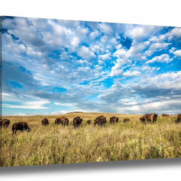 Bison Canvas - Etsy