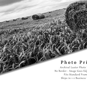 Hay Bale Photography Print Nostalgic Picture in Black and White of ...