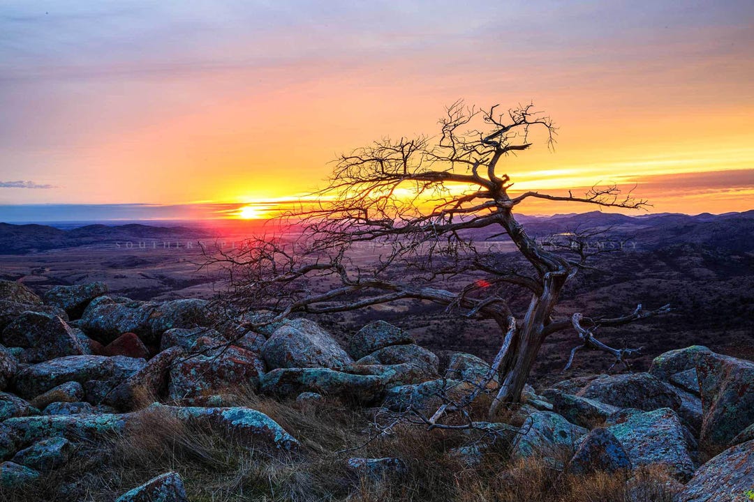 Wichita Mountains Photography Print Picture of Tree at Sunset From ...