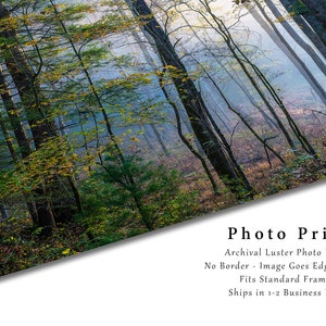 Nature Photography Print Picture of Trees in Fog on Autumn Morning in ...
