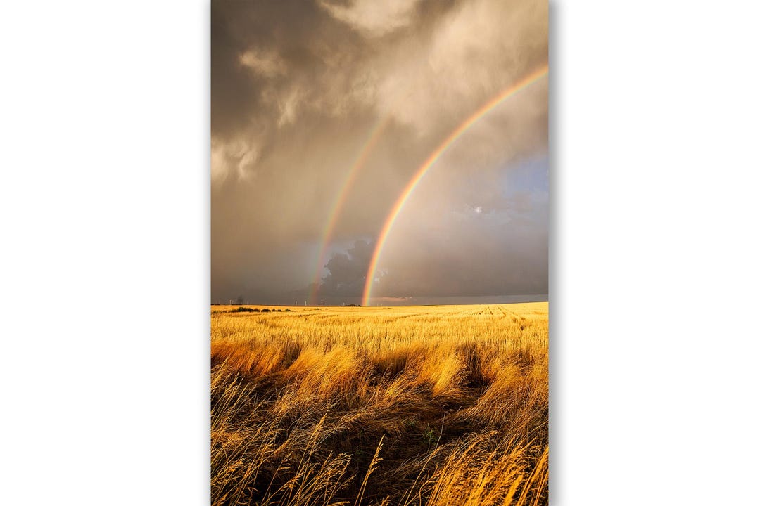 Rainbow and Golden Field in Kansas • Print | Canvas | Metal | Framed ...